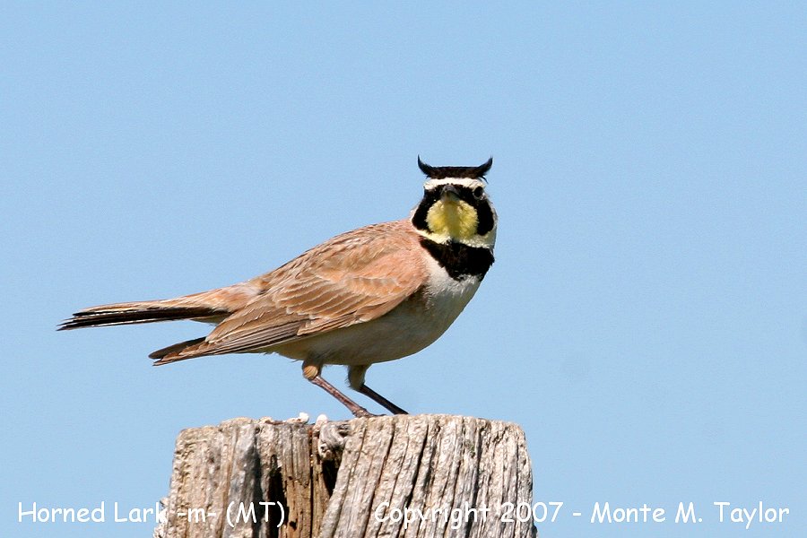 Eigenlijk ben ik 16 | Onzin voor je leven! (ONZ) - forum.fok.nl